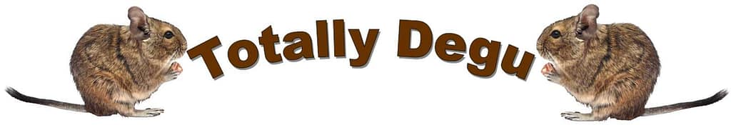 Totally Degu - Fun stuff for small pets. | Pet supplies for rodents