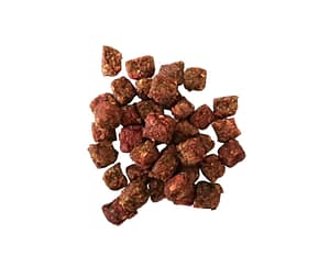 Totally Degu Home Page - Pet Supplies, degu treats | Totally Degu - Fun ...