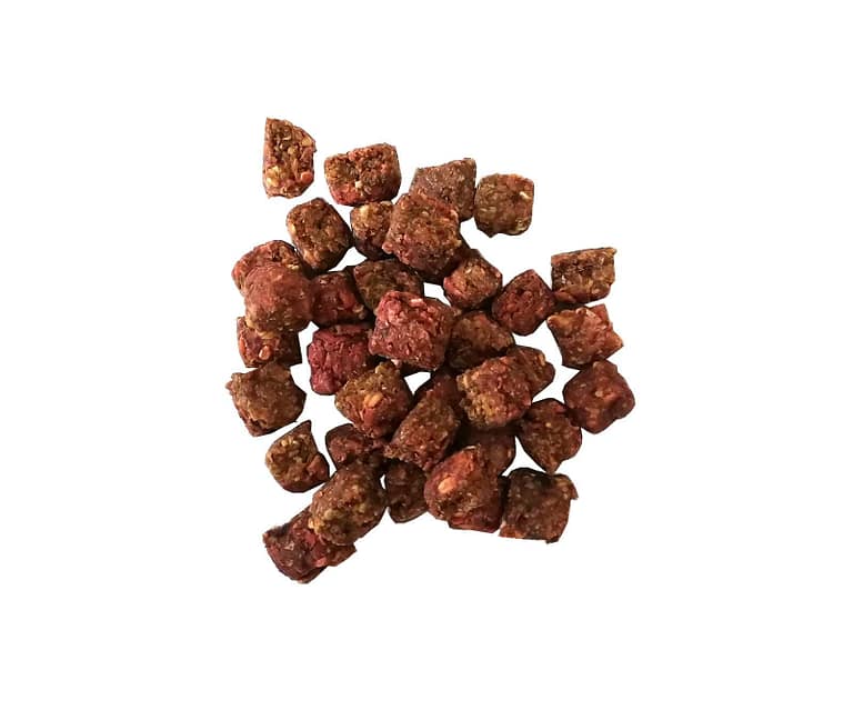 Totally Degu Home Page - Pet Supplies, degu treats | Totally Degu - Fun ...